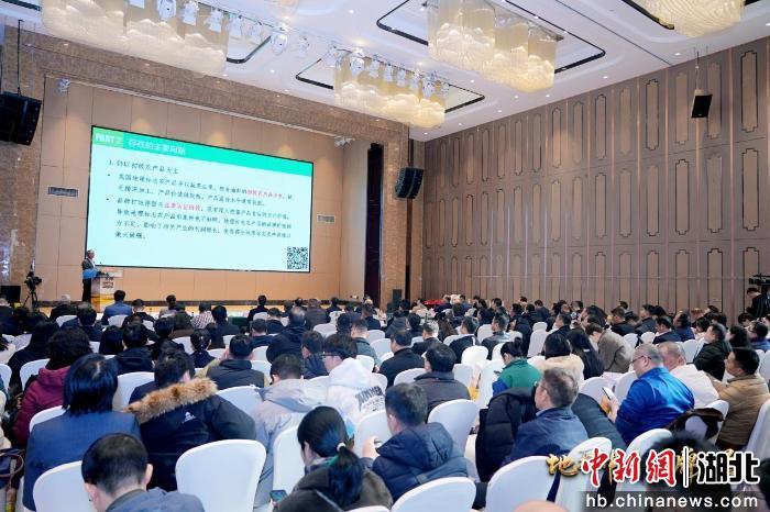 中新网湖北 湖北新闻网 央广网发布2026地标产品精品传播计划